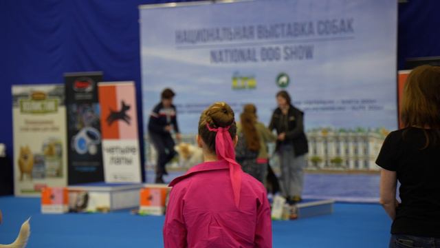 Танцы с собаками.Награждение участников соревнований.(Часть3).Санкт-Петербург.Экспофорум.