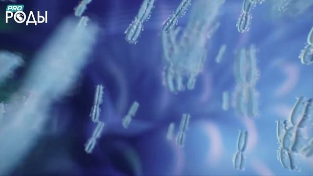 Зачатие - оплодотворение яйцеклетки