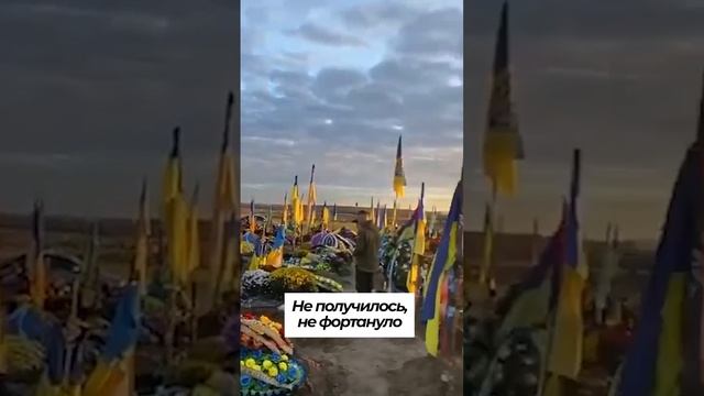 Ну не фортануло