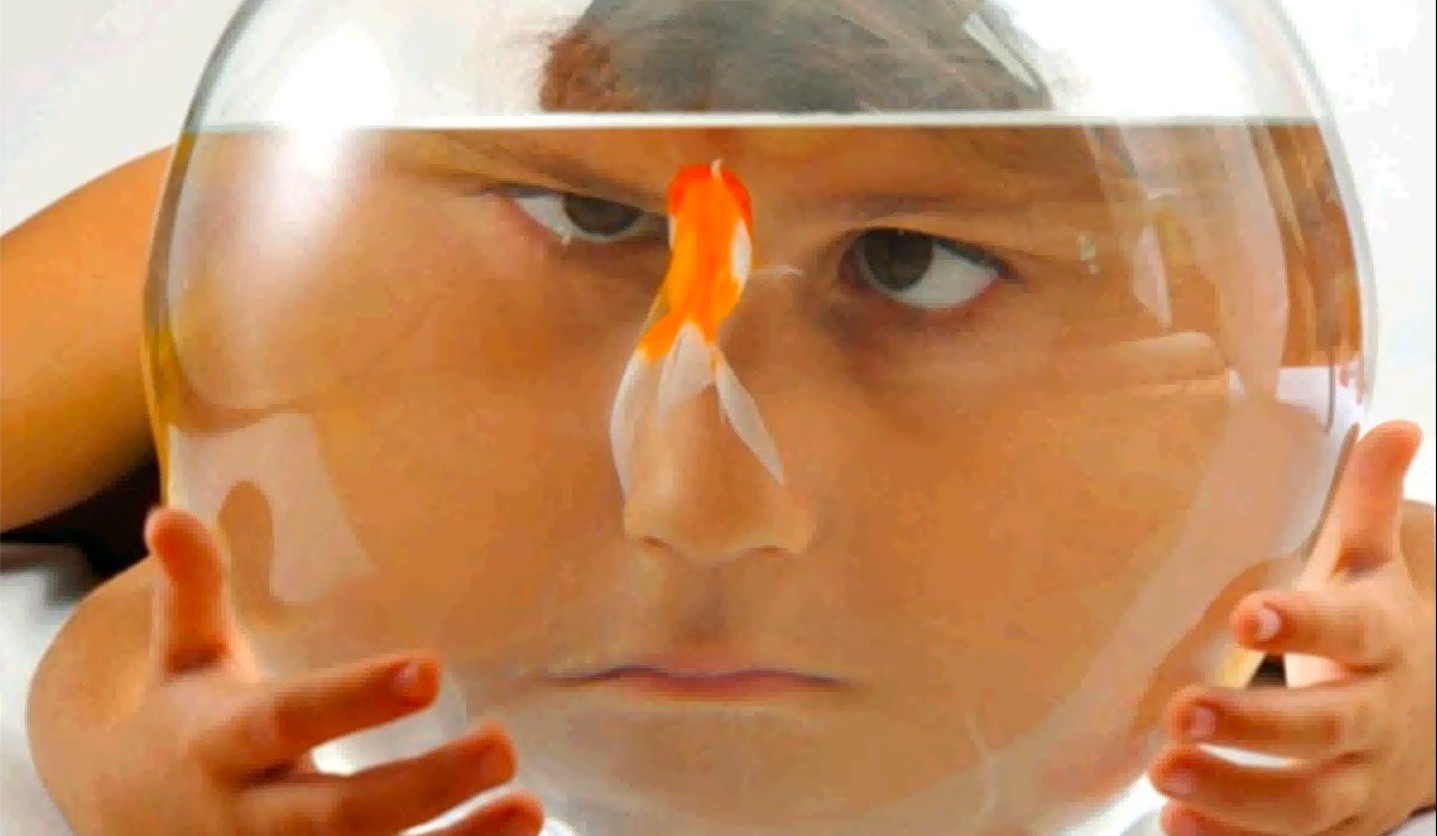 Глаза и рыбка