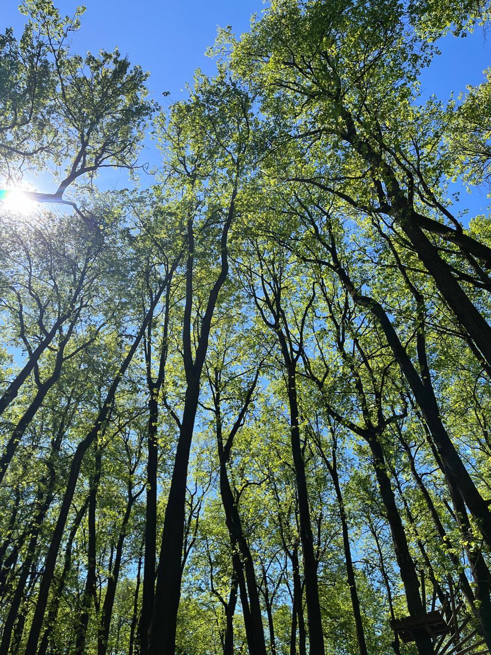 Отдых, обучение, общение