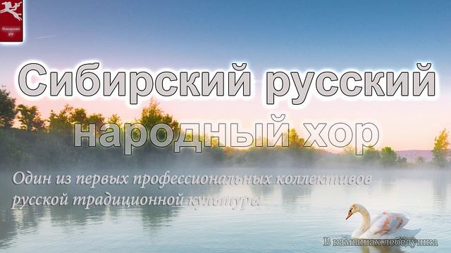 Сибирский русский народный хор - В камышах лебёдушка