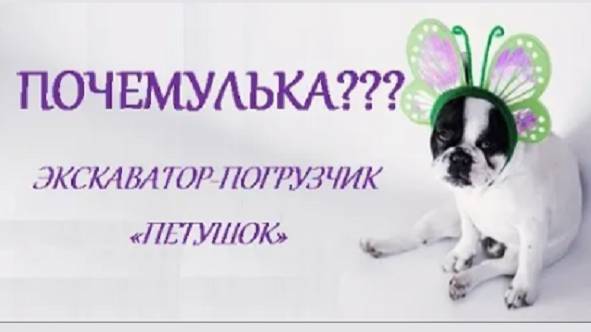 ПОЧЕМУЛЬКА? СПЕЦТЕХНИКА. ЭКСКАВАТОР - ПОГРУЗЧИК ПЕТУШОК.