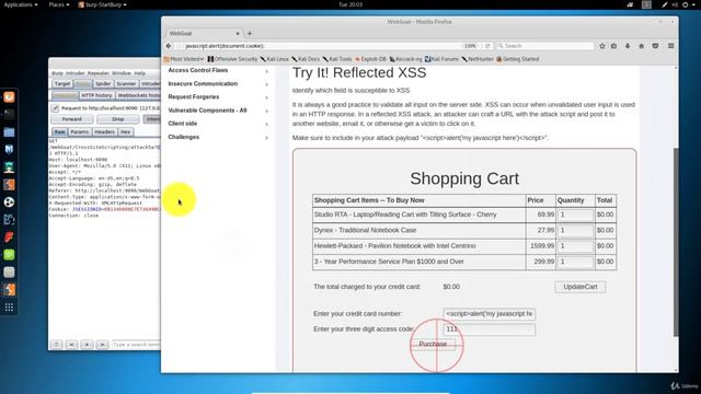 18. OWASP A7 Cross Site Scripting (XSS) Pt 1