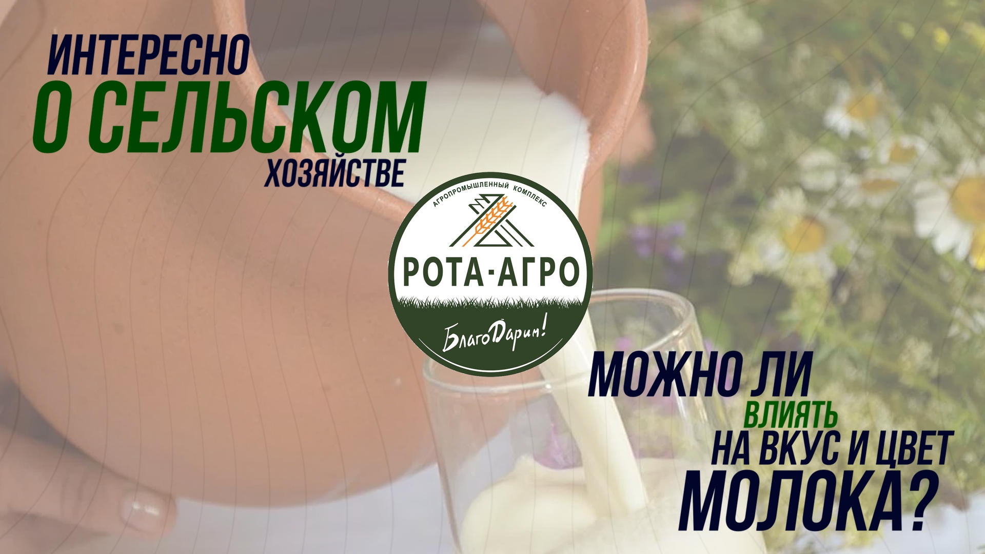 Интересно о сельском хозяйстве: можно ли повлиять на вкус и цвет молока?