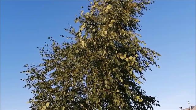 Летняя погода 7 сентября 2024 года на Урале