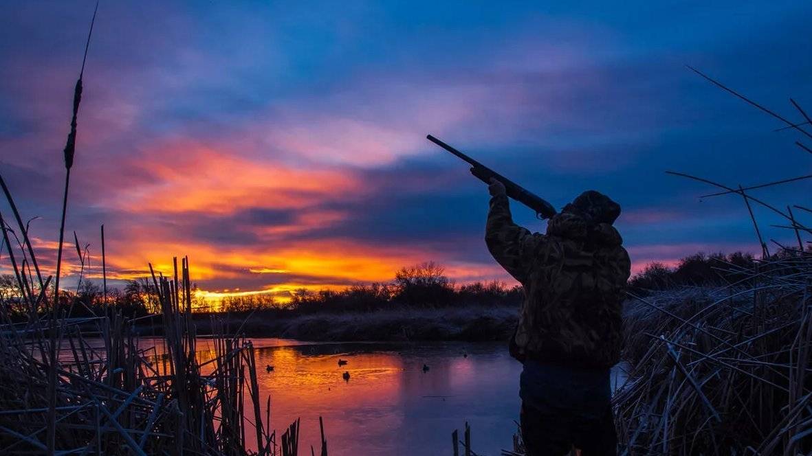 ? UniveRsAL pixel?ивент?