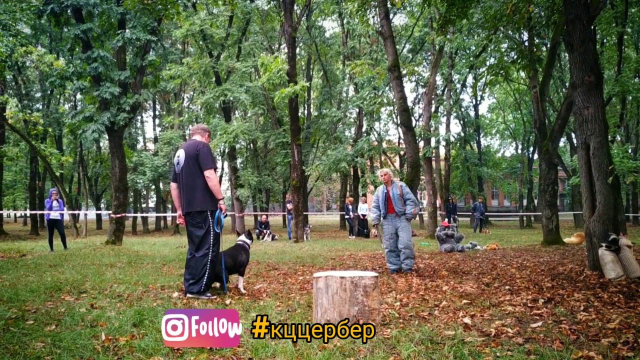 Показательные выступления 07.08.19