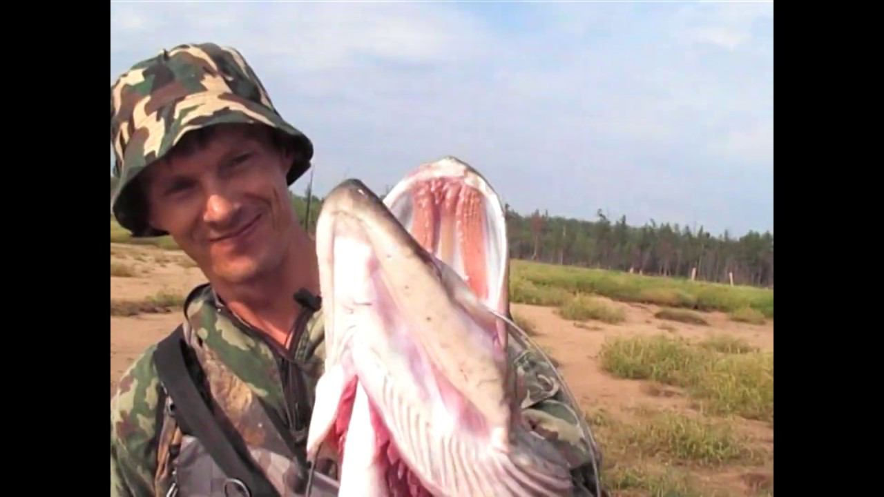 Трофейная щука