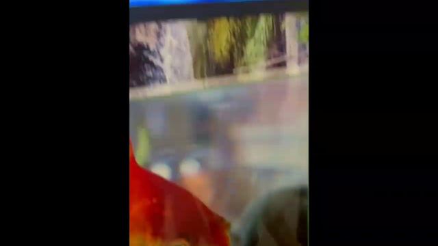 «За нами будущее!»