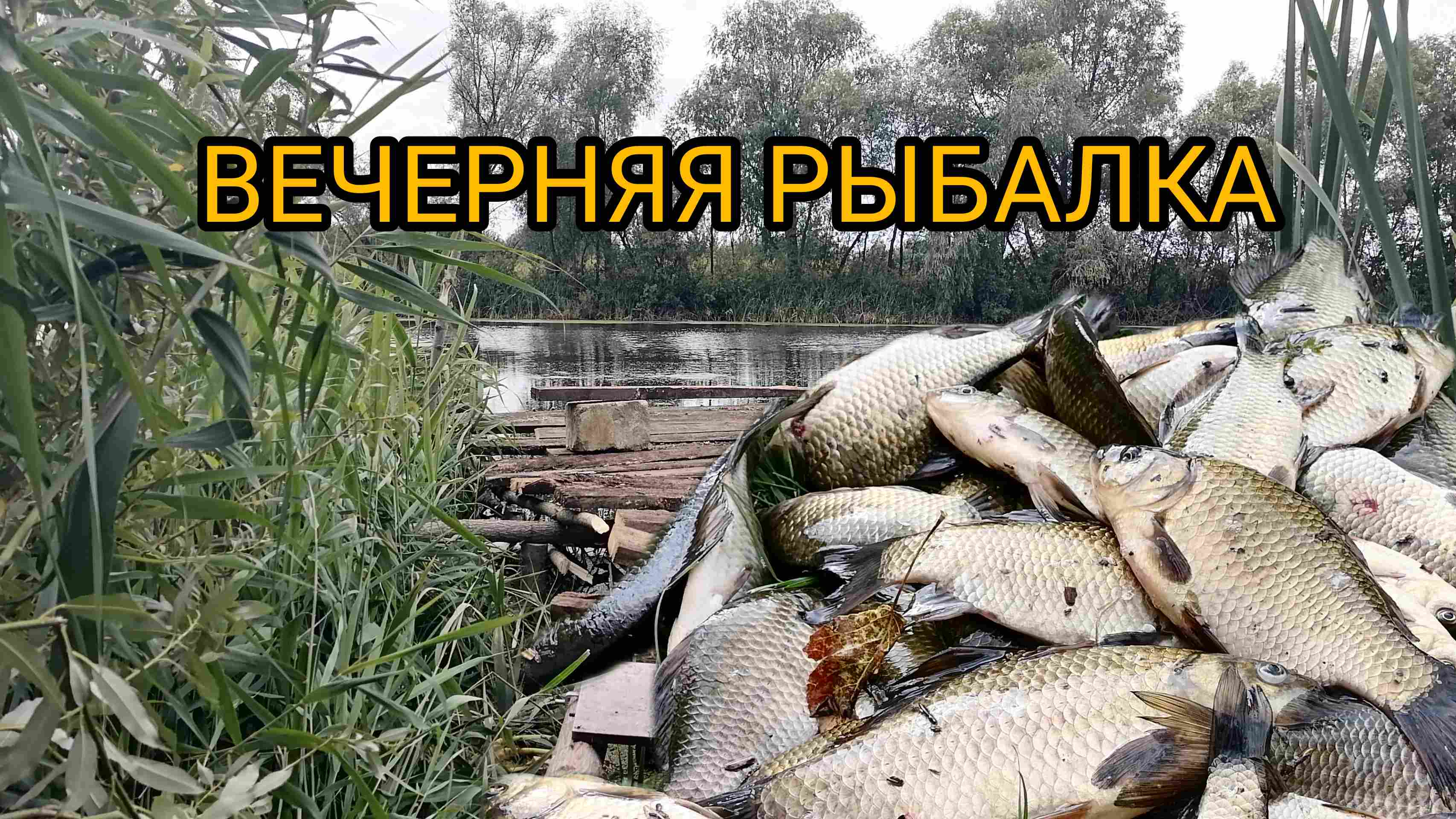 ВЕЧЕРНЯЯ РЫБАЛКА НА УДОЧКУ.