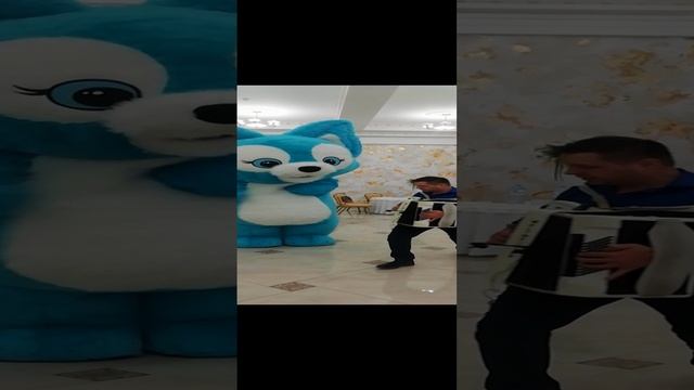 Жаворонок   LIVE