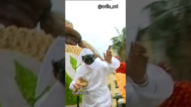 Карнавал Цветов -конкурс флористов в Италии Сан-Ремо 2011 часть 3.
короткое.