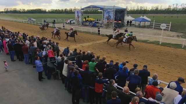 Павловские скачки_2019.mp4
