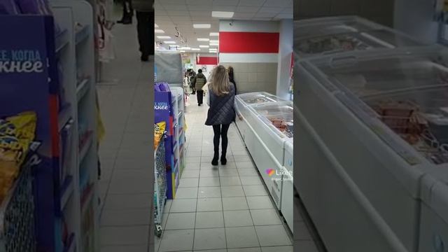 Курица с курицей