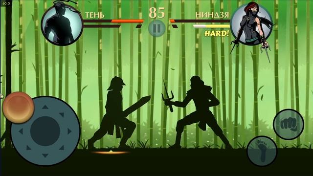 Shadow fight 2