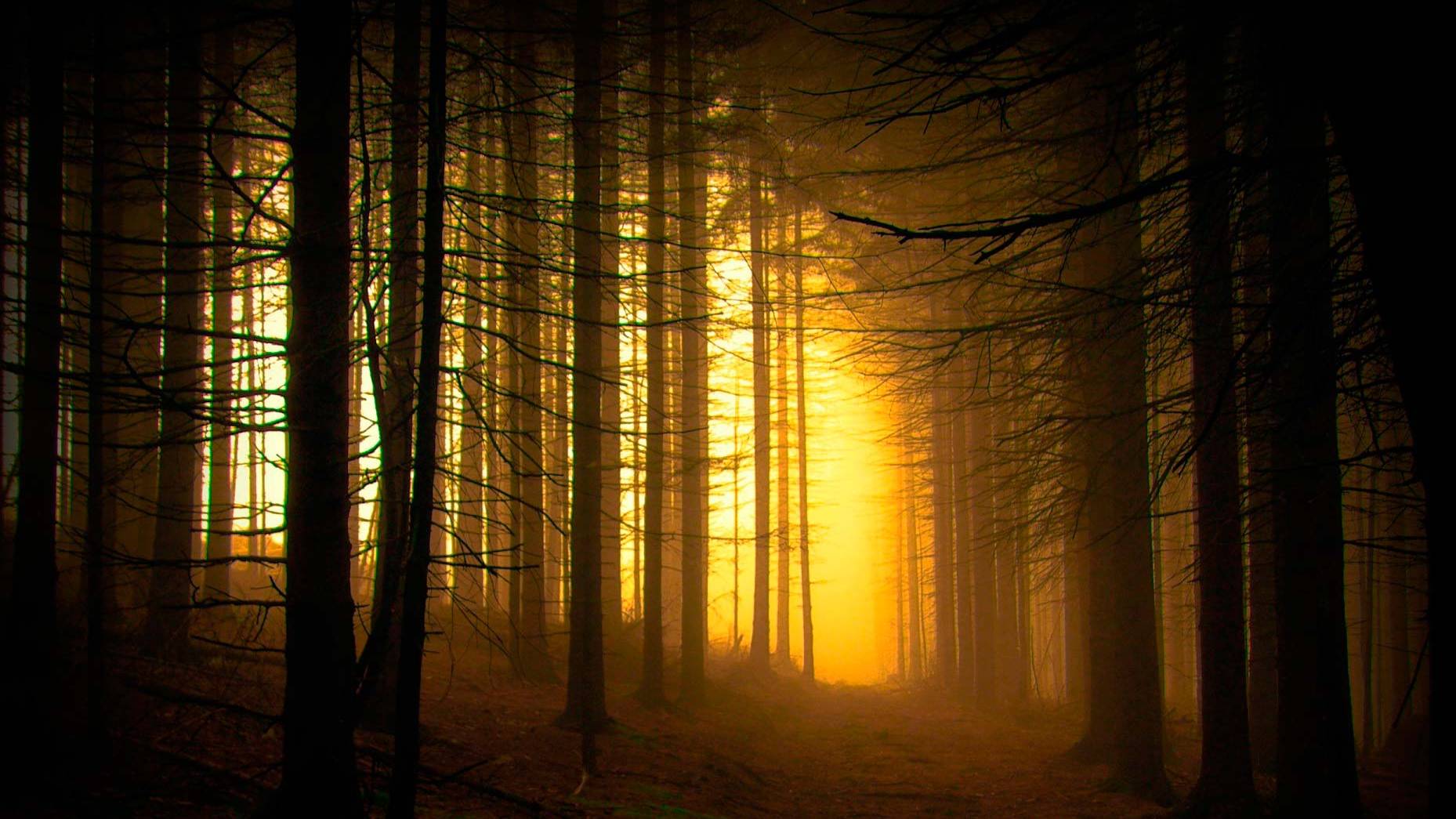 Мистическая Таинственная Музыка для чтения книг