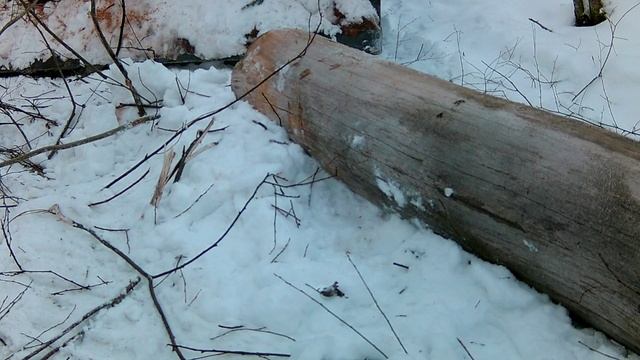 На тракторе за дровам.