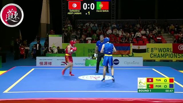 8-ойЧемпионат Мира среди юниоров по ушу-саньда. Часть 5