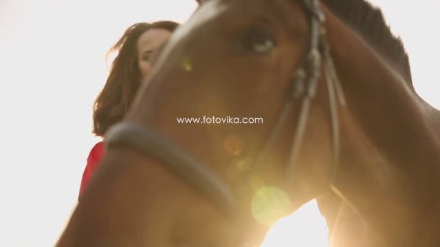 horses stories/backstage