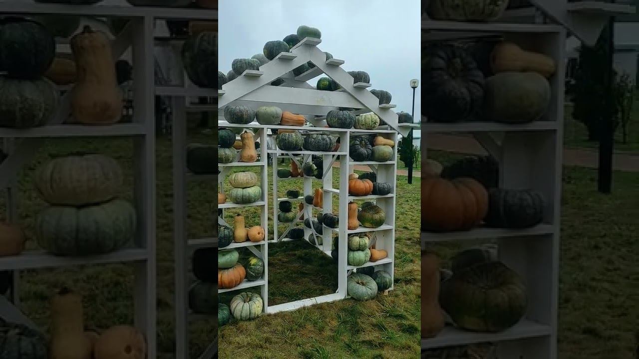 Владикавказ 2022. Сельскохозяйственная выставка на Дне города