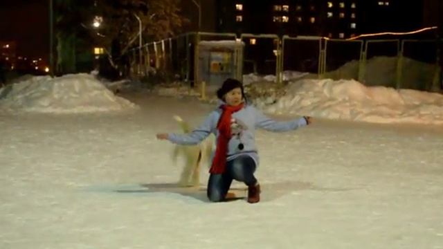 трюки собак