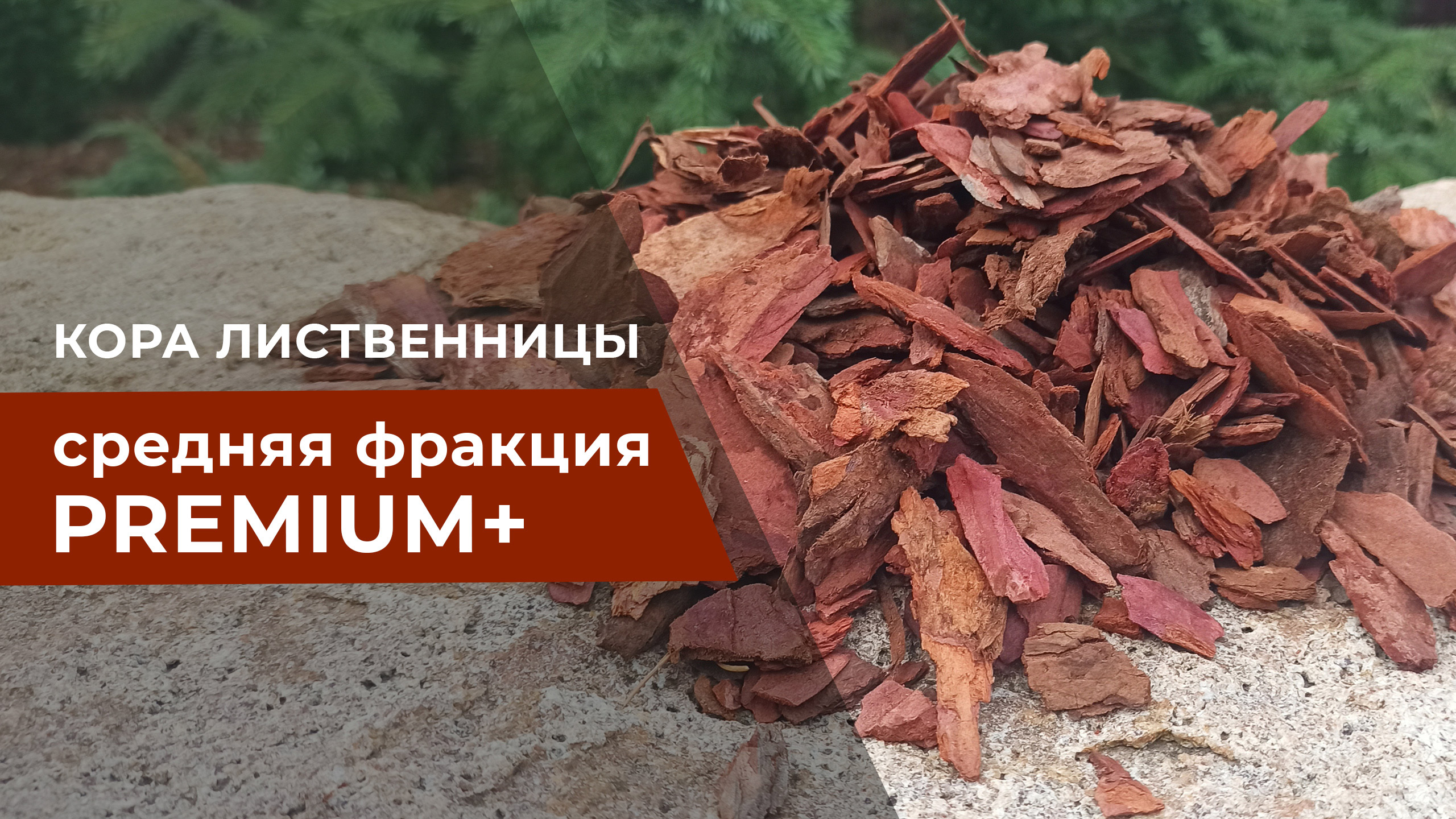 Мульча - кора лиственницы средней фракции, как правильно мульчировать почву