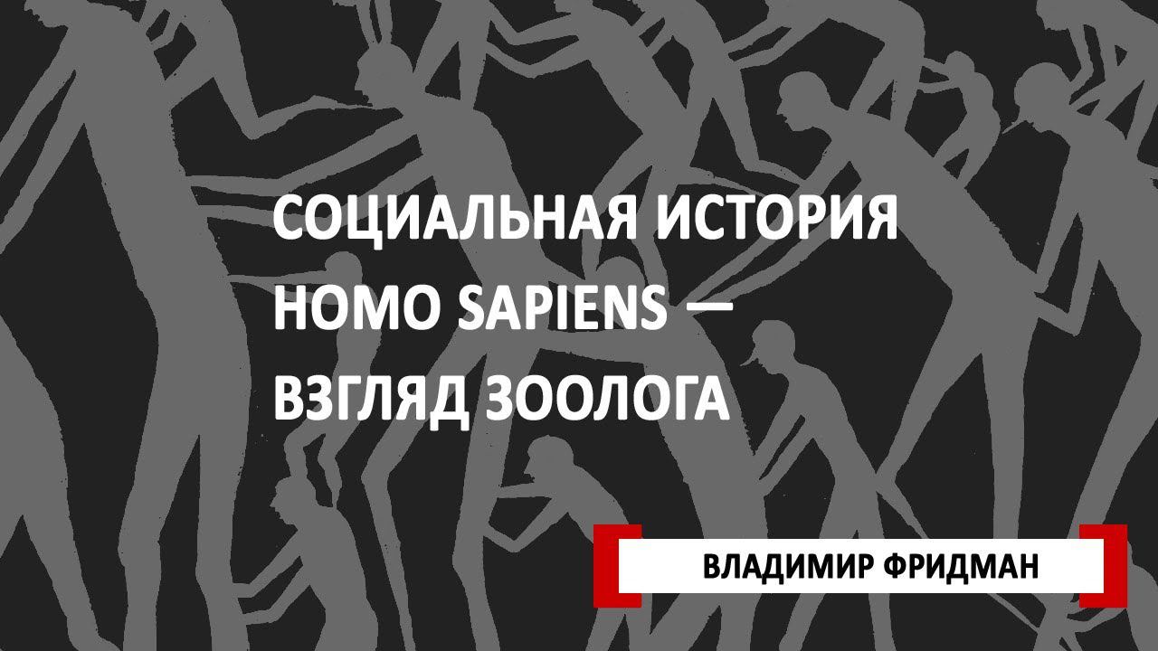 Социальная история Homo sapiens — взгляд зоолога