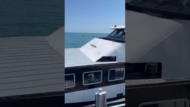 Аренда Яхт. Морское путешествие. Встречи с  Дельфинами. Лазаревское