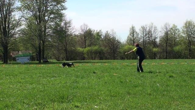 Галина и бордер-колли Хайди.mp4