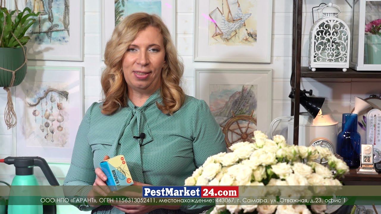 Как избавиться от клопов? Советы эксперта - Марина Рыкалина