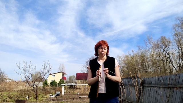 Дневник. Обрабатываю сад от болезней. Ищу подземную речку!