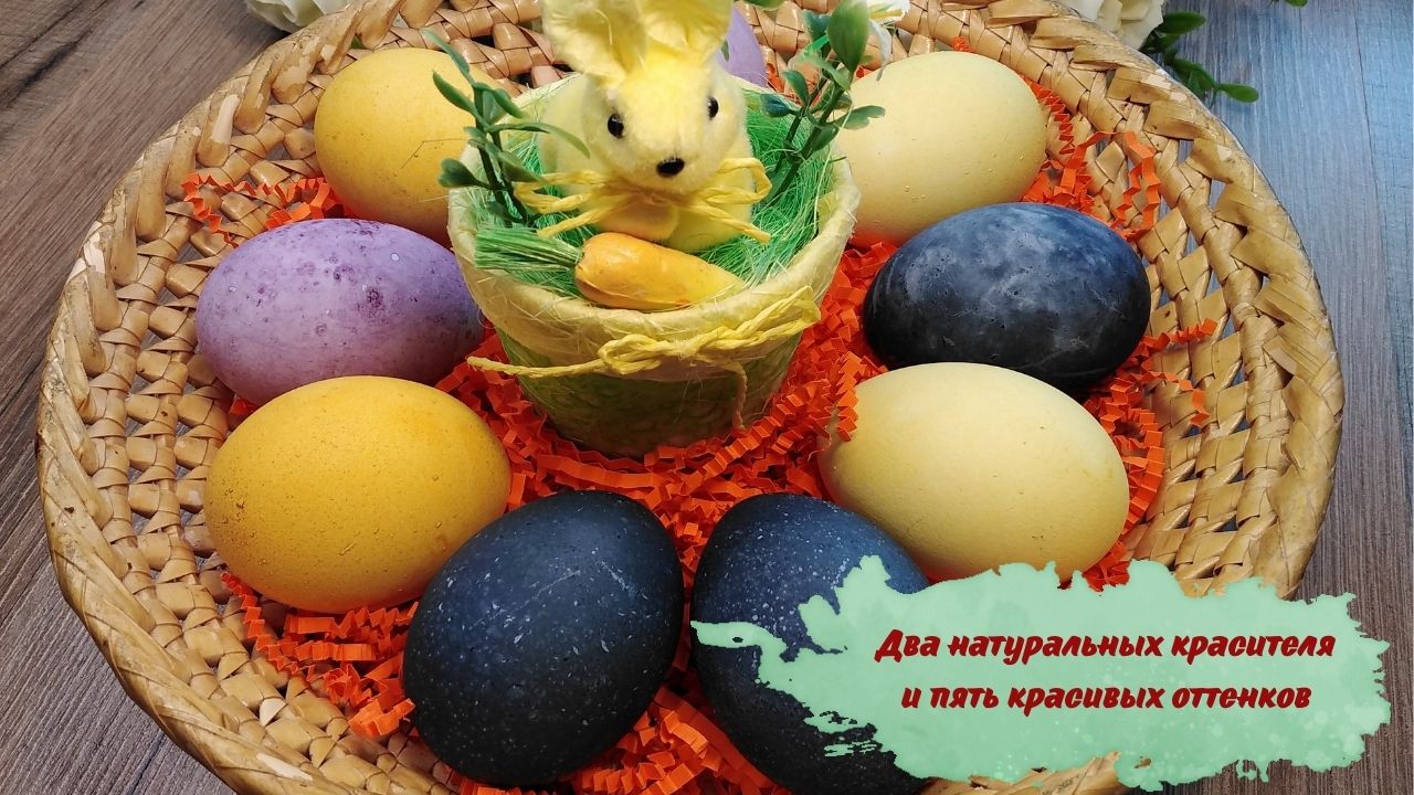 Всего два натуральных красителя и пять красивых оттенков - красим яйца на Пасху без химии