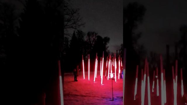 Светящиеся палочки. Фестиваль "Сад света" Январь 2021 .mp4