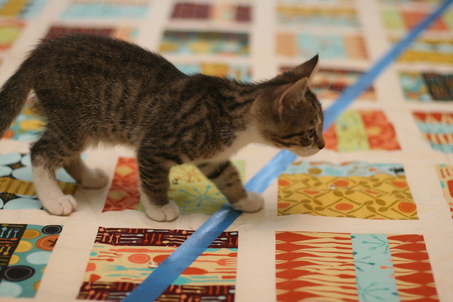 Ким Брэкетт мастер создания одеял из обрезков