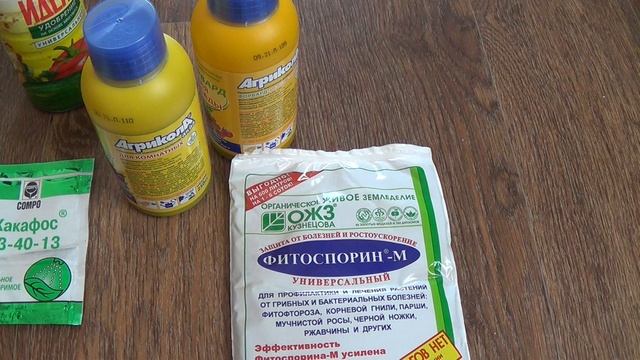 Огород на окошке 20 марта 2022. Сорта для окна