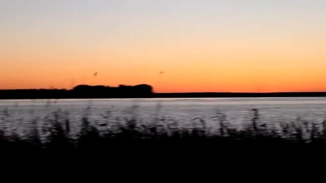 ЛЕБЕДИ НА ЗАКАТЕ//ВЕЧЕРНИЙ РЕЛАКС//SWANS AT SUNSET//EVENING RELAXATION