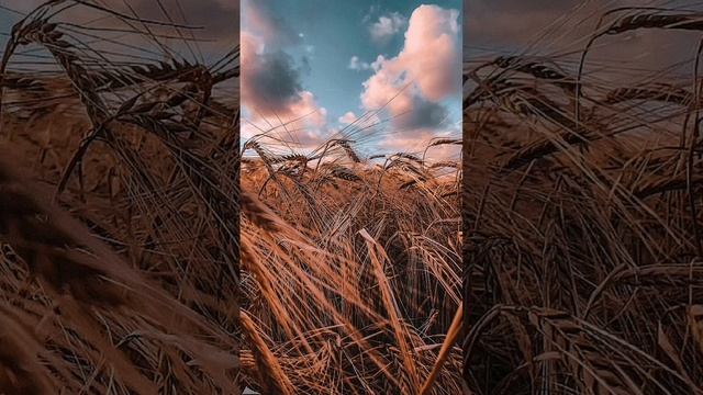 Доброго осеннего утра