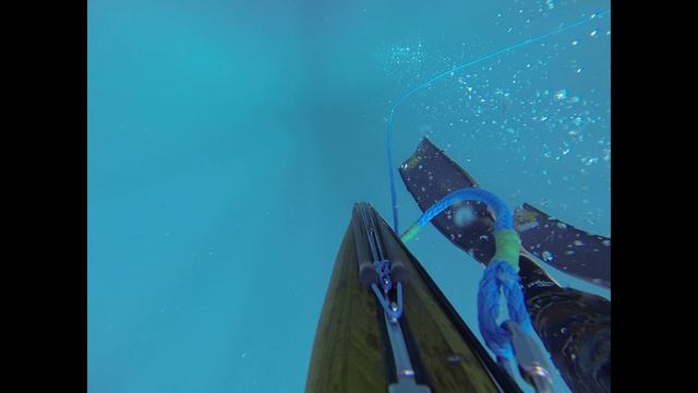 охота БАЛИ 2017