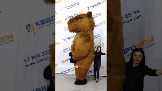 Надувной костюм капибары_ когда мемы оживают в реальной жизни #капибара #capybara #shorts