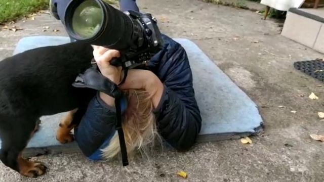 YouCut_20220929_180628169.mp4