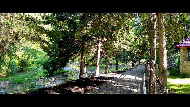 белокуриха 2022 июль .