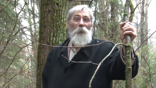 святитель Афанасий Сахаров, исповедник, епископ Ковровский 28.10