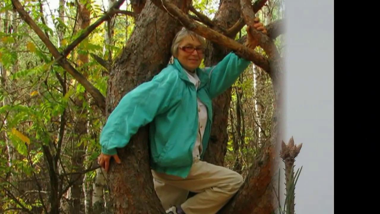 вместе с женой по лесу гуляем