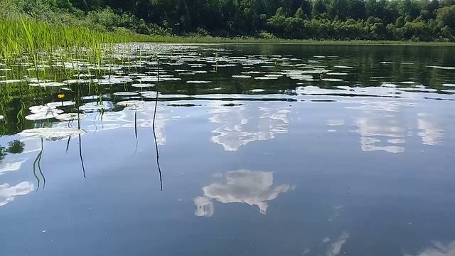 Озеро Днилово. Одно из пяти тайнственных озёр.