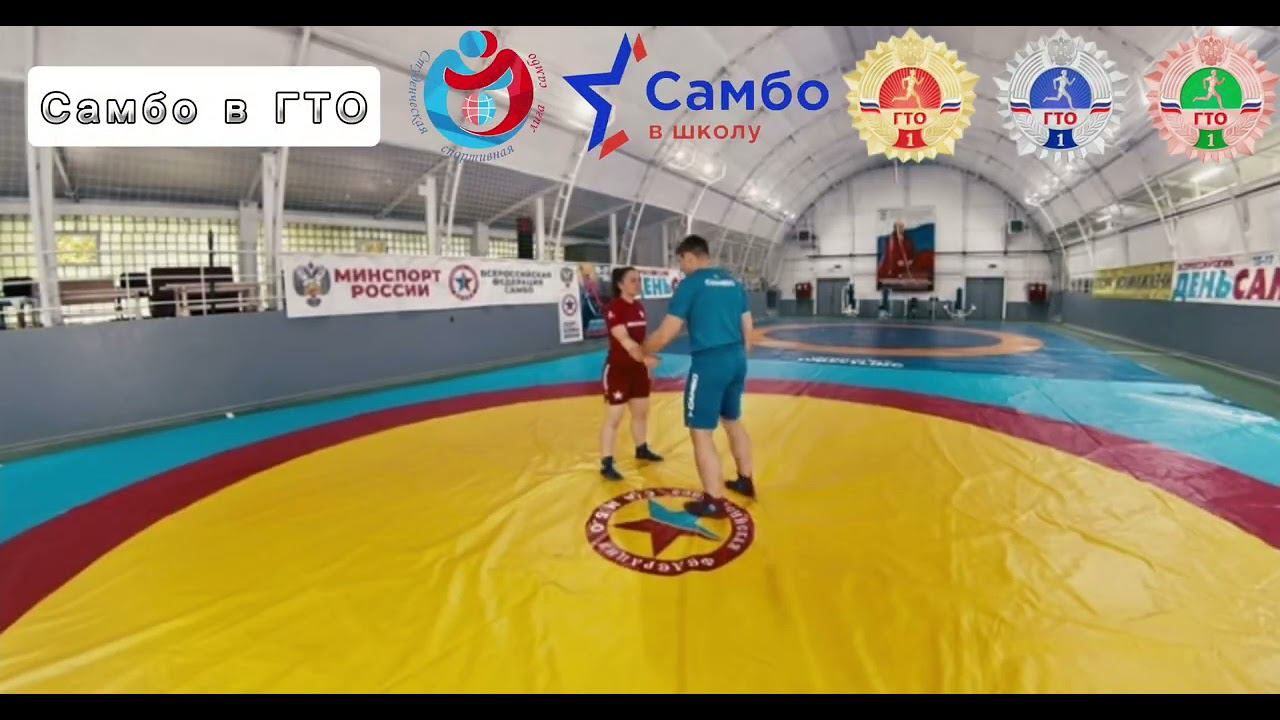 Бросок через спину