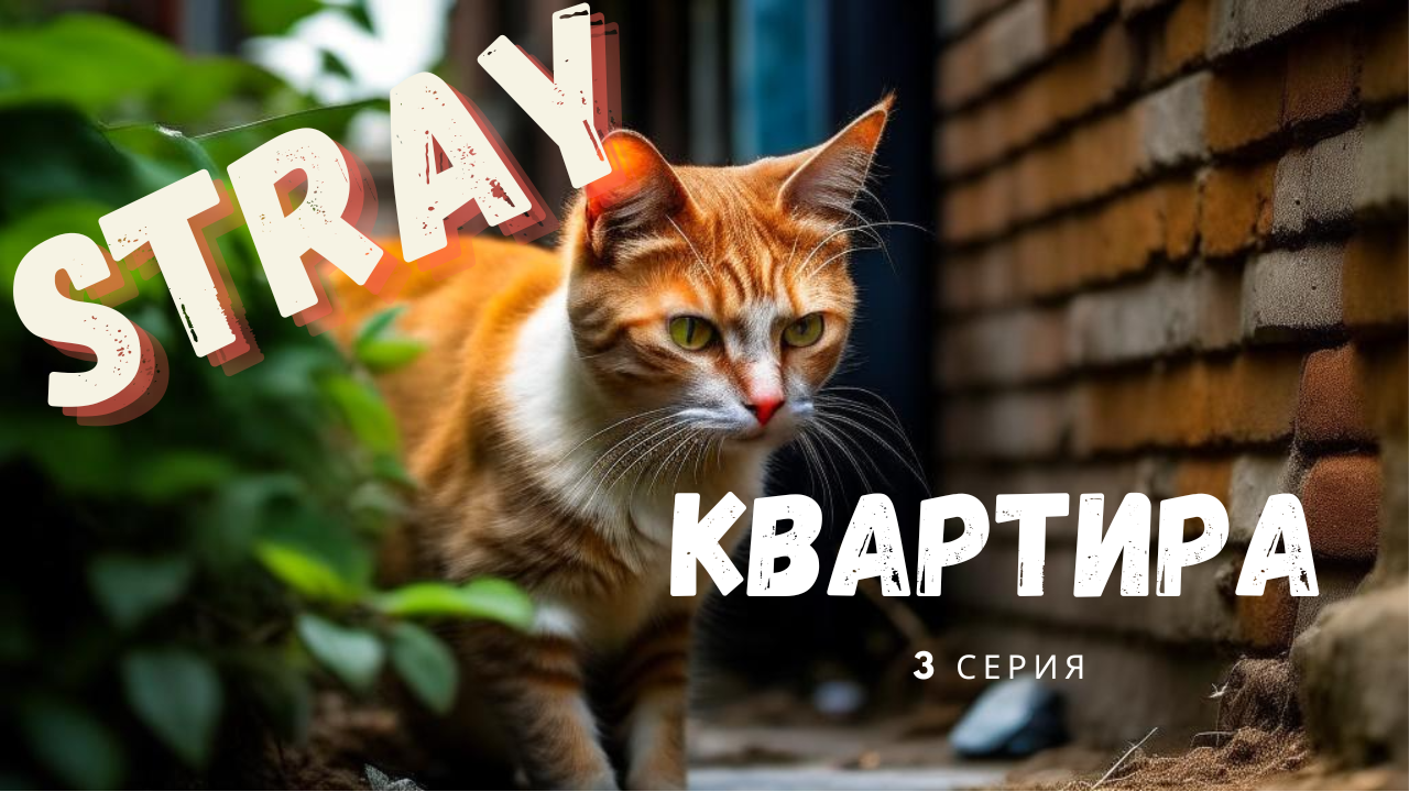 Stray 3 Квартира - Путь наверх к Аутсайду -- Apartment Journey Up to the Outsider