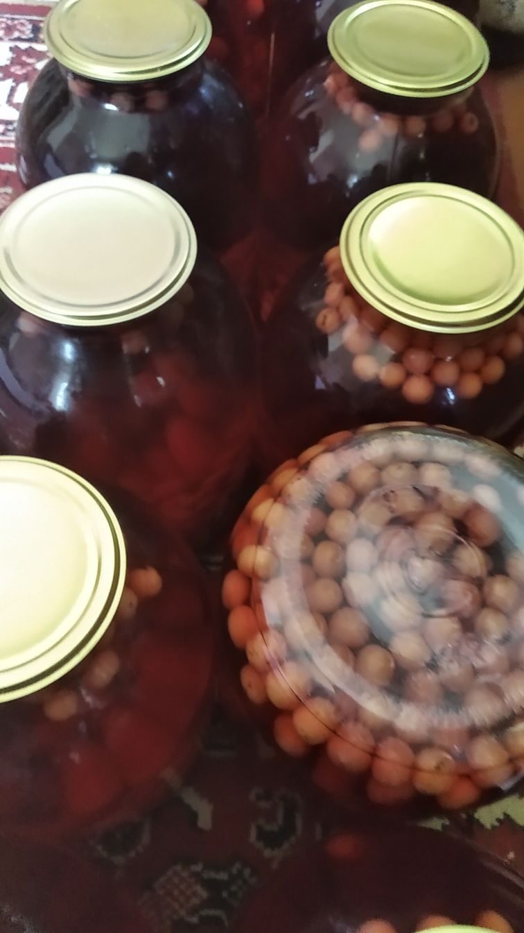 #shorts














 Очень вкусный вишневый компот .