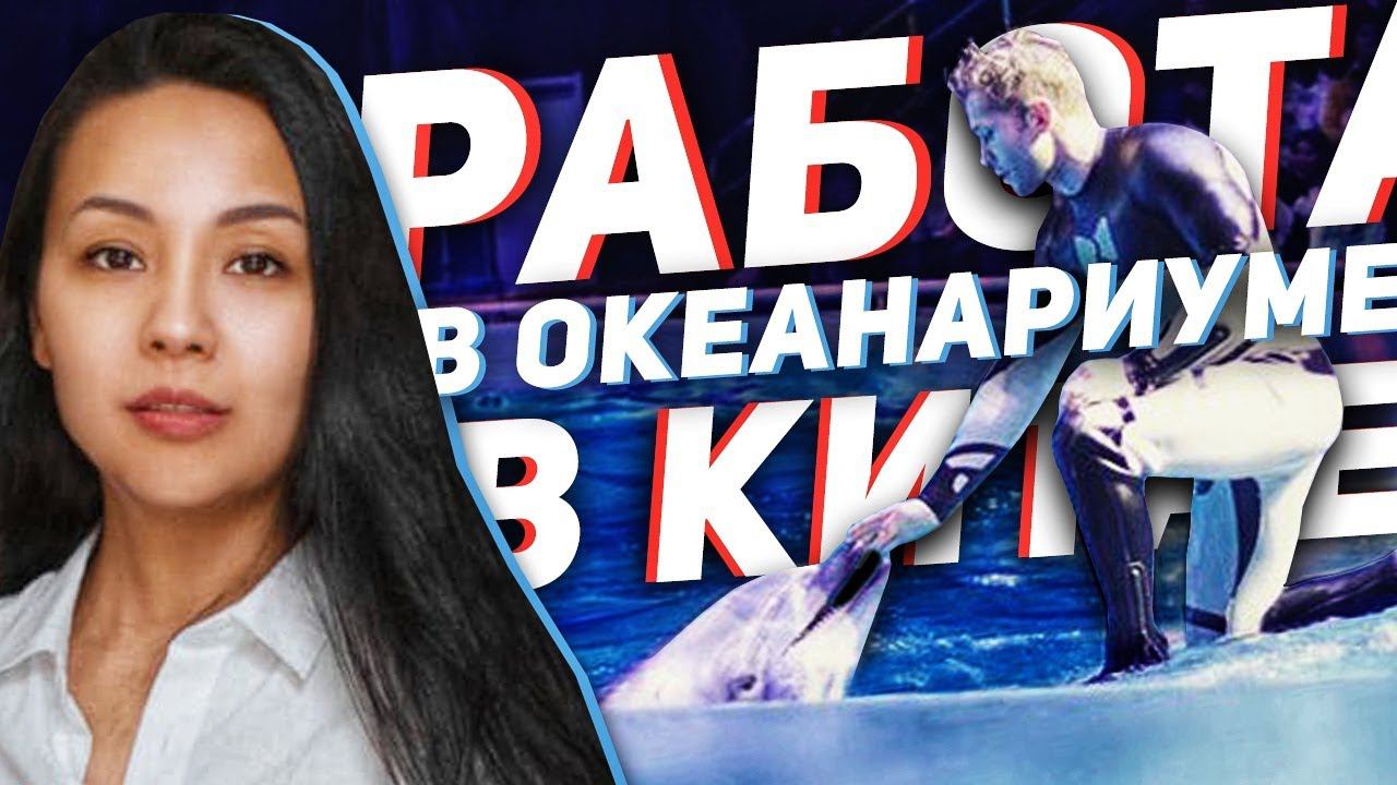 Работа с дельфинами в Ухане