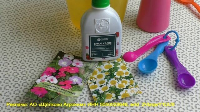 Чем подкормить рассаду цветов?